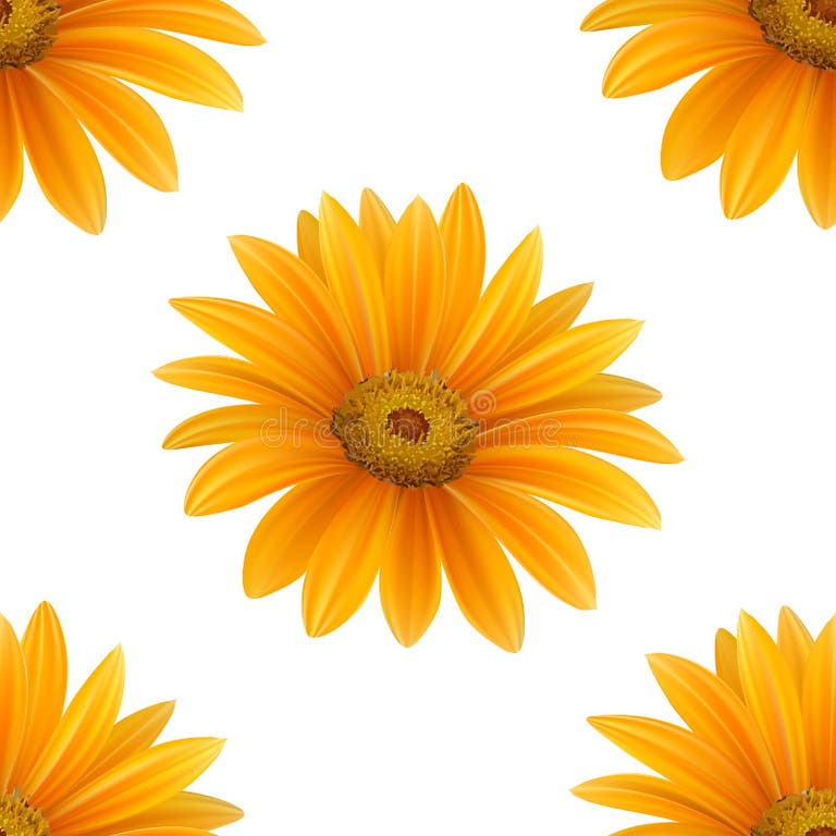 Realistic Daisy Drawing Stock Illustrations – 2,982 Realistic Daisy ...