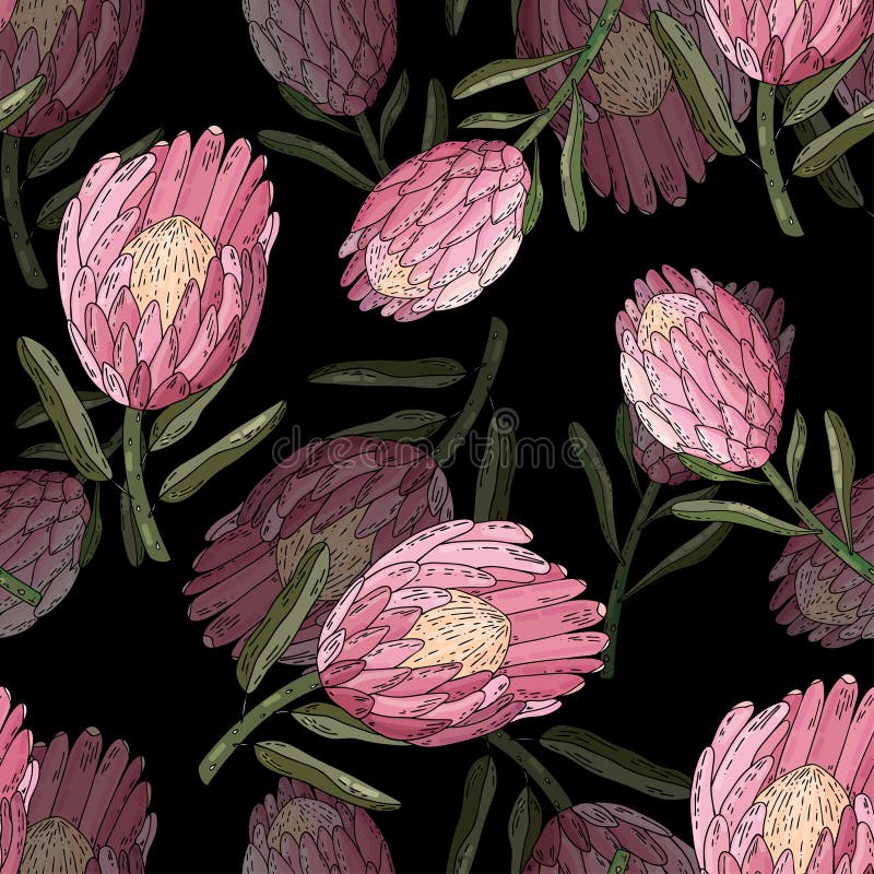 Hand Drawn Vector Seamless Pattern of King Protea. Stock Vector ...