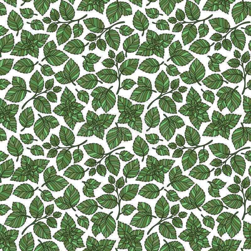 Hand Drawn Vector Seamless Pattern with Mint Leaves Stock Vector ...