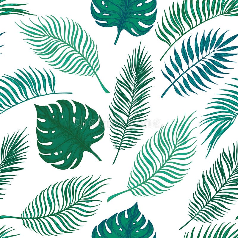Hand Drawn Vector Seamless Pattern - Palm Leaves. Tropical Design Elements Stock Vector ...