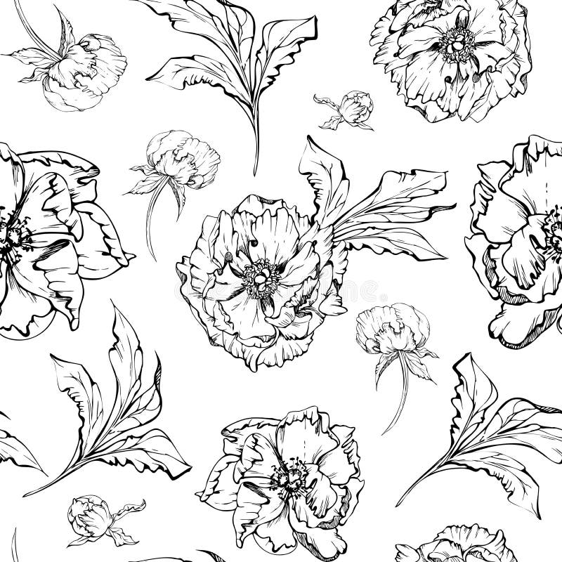 Hand Drawn Vector Seamless Pattern with Peony Flowers, Buds and Leaves ...