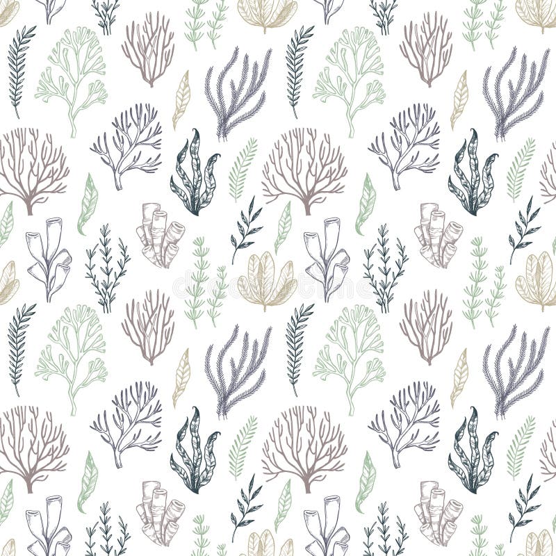 Hand Drawn Vector Seamless Patterns. Seaweed Stock Vector ...