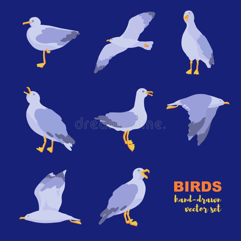 Hand-drawn Vector Set of Seagulls Stock Illustration - Illustration of ...