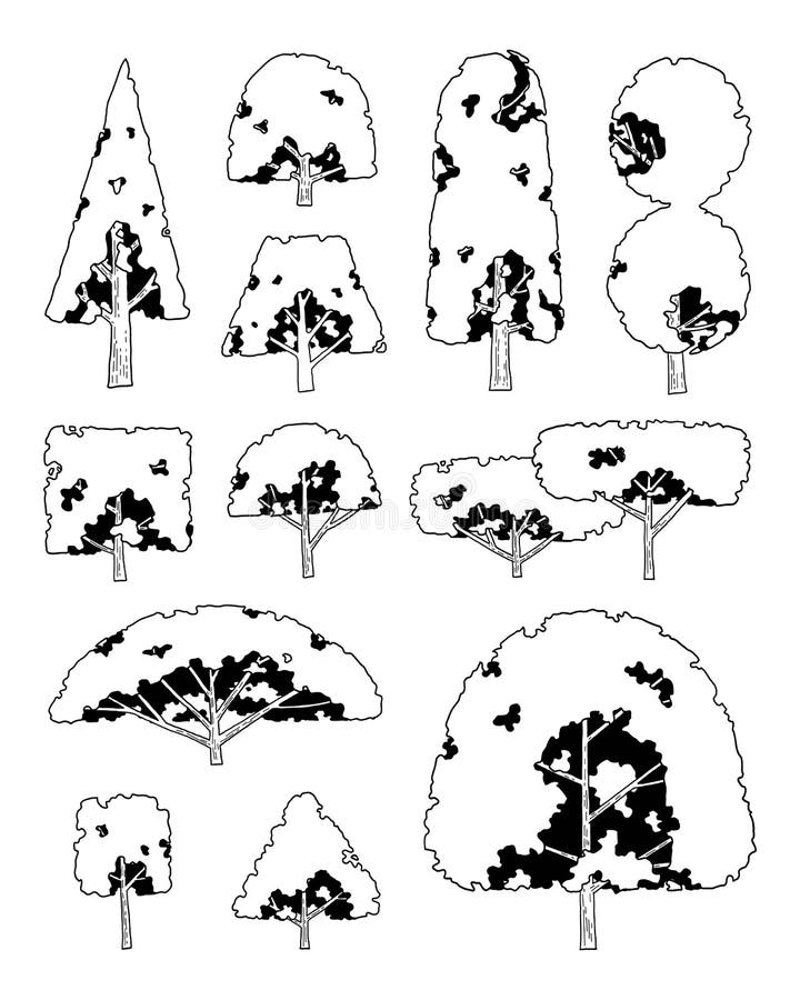 Hand Drawn Vector Set of Side View Tree Stock Vector - Illustration of ...