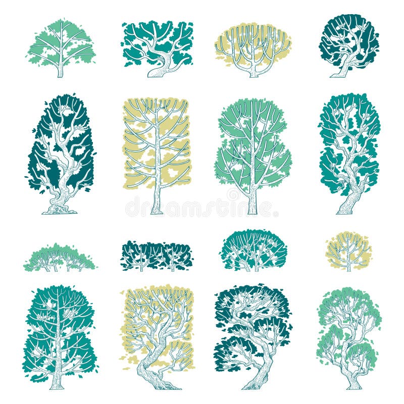 Hand Drawn Vector Set of Side View Trees Stock Illustration ...