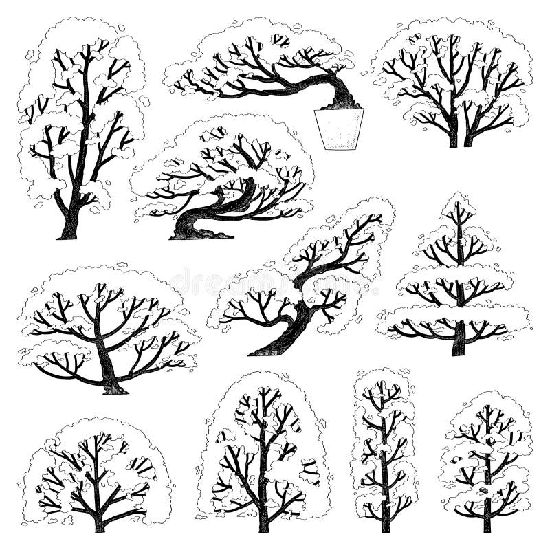 Side View Trees Stock Illustrations – 1,183 Side View Trees Stock ...