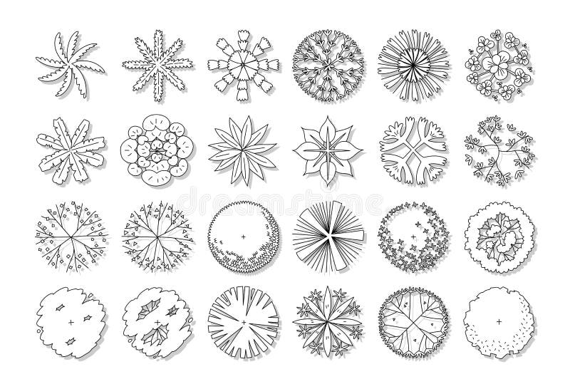 Hand Drawn Side View Tree Vector Set. Stock Vector - Illustration of ...