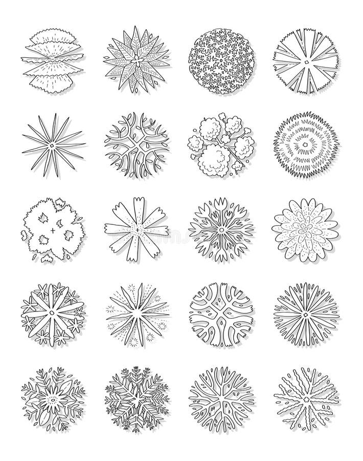 Trees Top View Black White Stock Illustrations – 448 Trees Top View ...