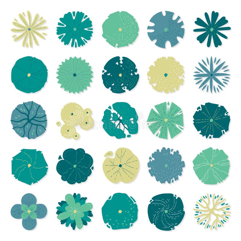 Hand Drawn Vector Set of Top View Trees Stock Vector - Illustration of ...