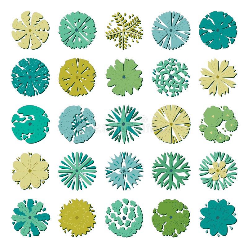 Hand Drawn Vector Set of Top View Trees Stock Vector - Illustration of ...
