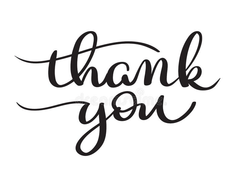 Thank You Text on White Background. Hand Drawn Calligraphy Lettering ...