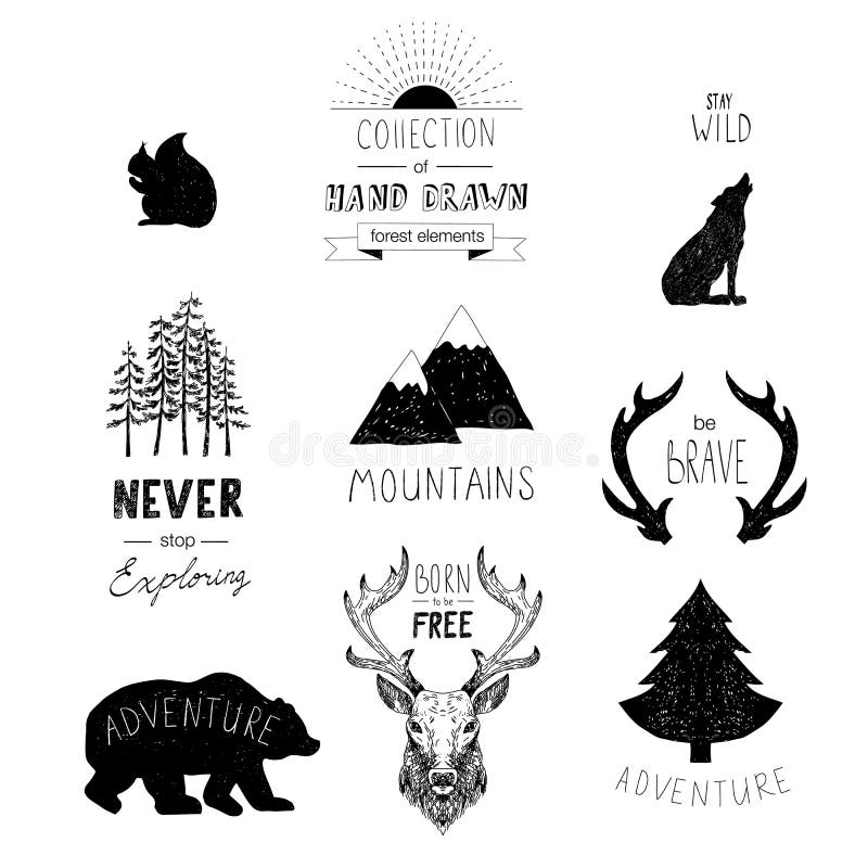 Hand Drawn Vector Wild Design Elements. Forest Silhouettes. Stock ...