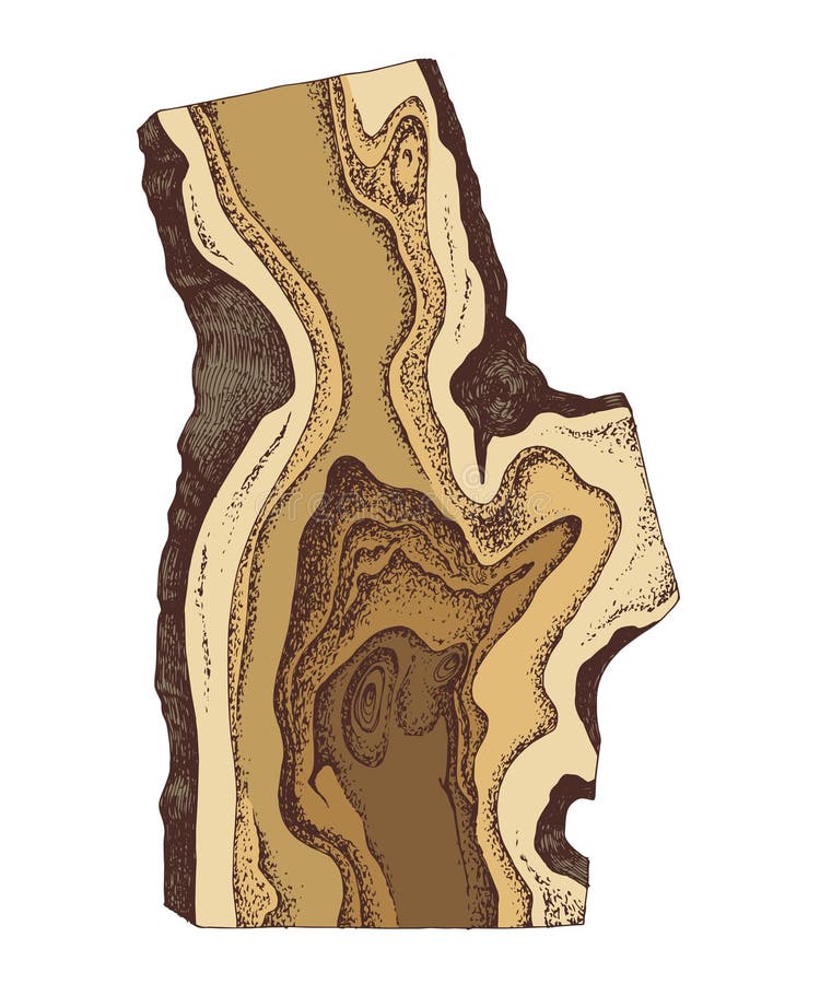 Hand Drawn Vector Wood Slab Stock Illustration - Illustration of ...
