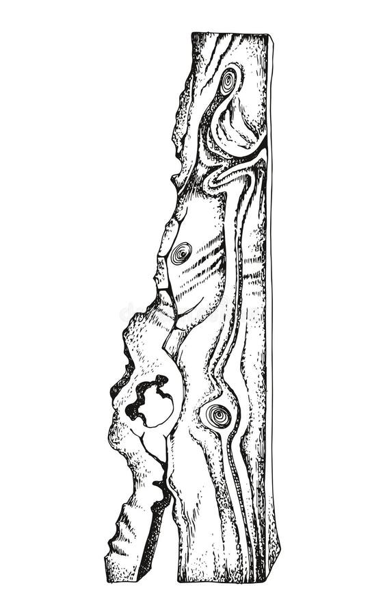 Hand Drawn Vector Wood Slab Stock Illustration - Illustration of ...