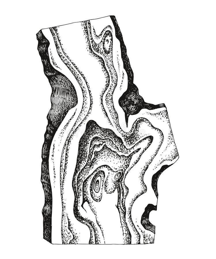 Slab Vector Wood Stock Illustrations – 498 Slab Vector Wood Stock ...