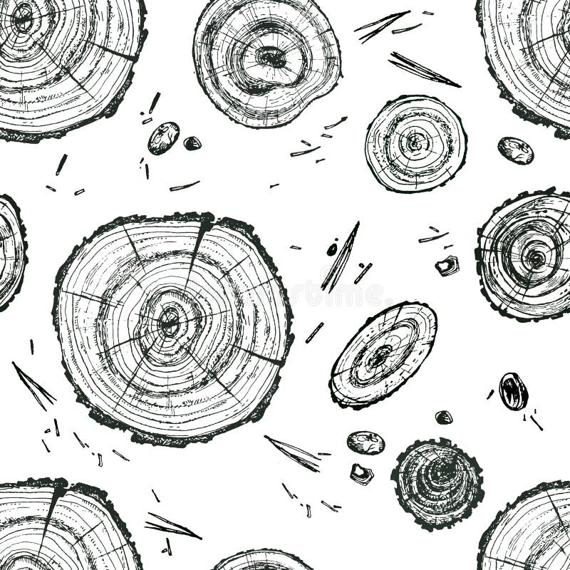 Hand Drawn Vector Wooden Slice. Pine Tree Stock Vector - Illustration ...