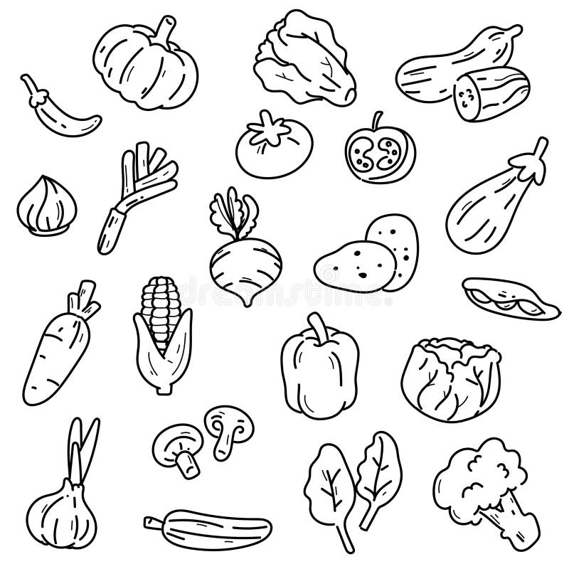 Hand Drawn Vegetable Set Doodle Doodle Illustration Stock Vector ...