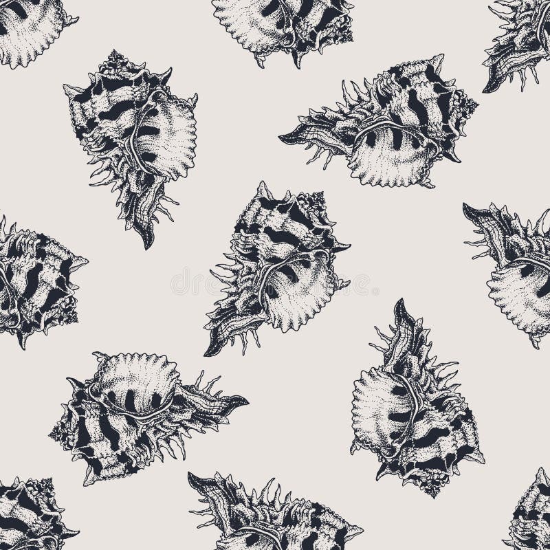 Hand Drawn Vintage Exotic Shell Abstract Pattern Stock Vector ...