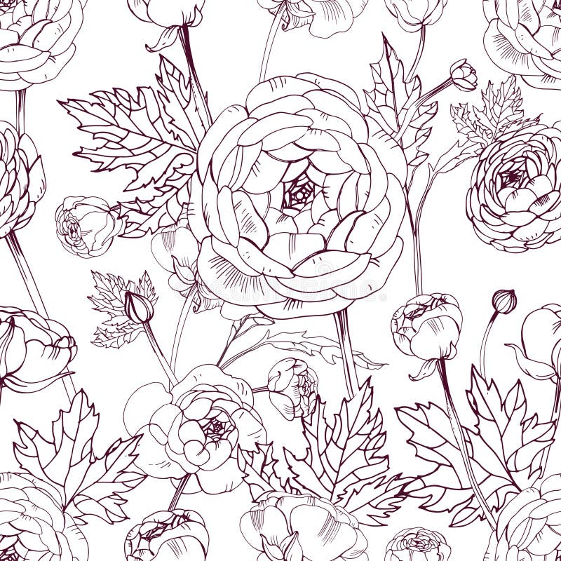 Hand Drawn Vintage Outline Floral Seamless Pattern with Ranunculus ...
