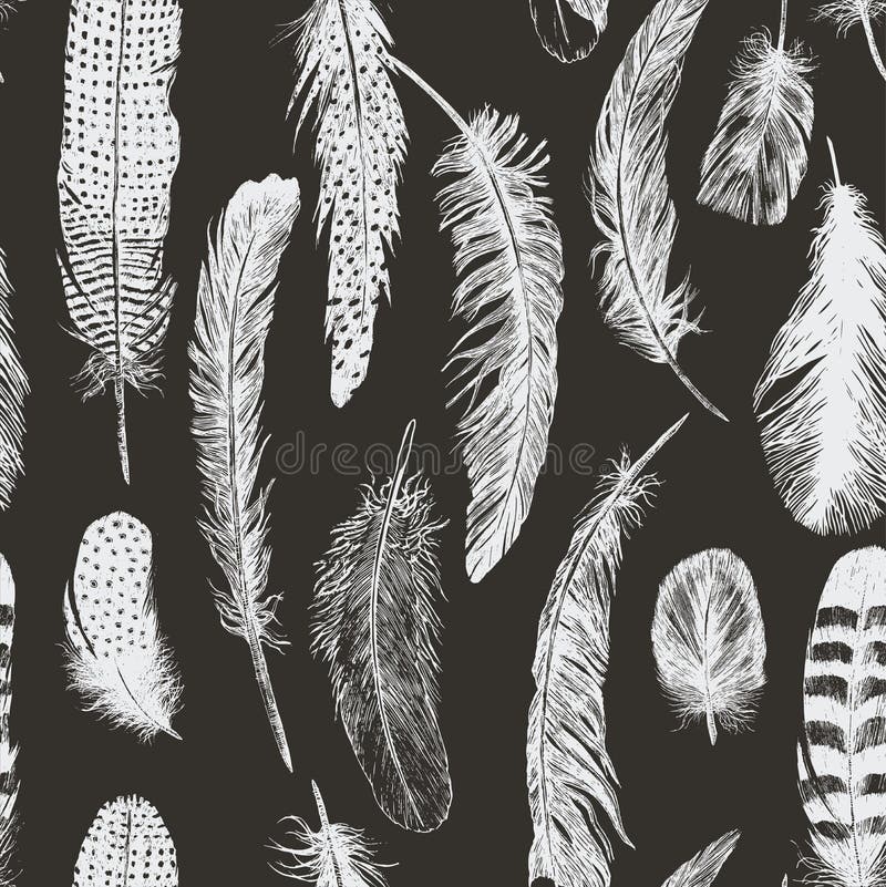 Hand Drawn Vintage Pattern with Feathers. Vector. Stock Vector ...