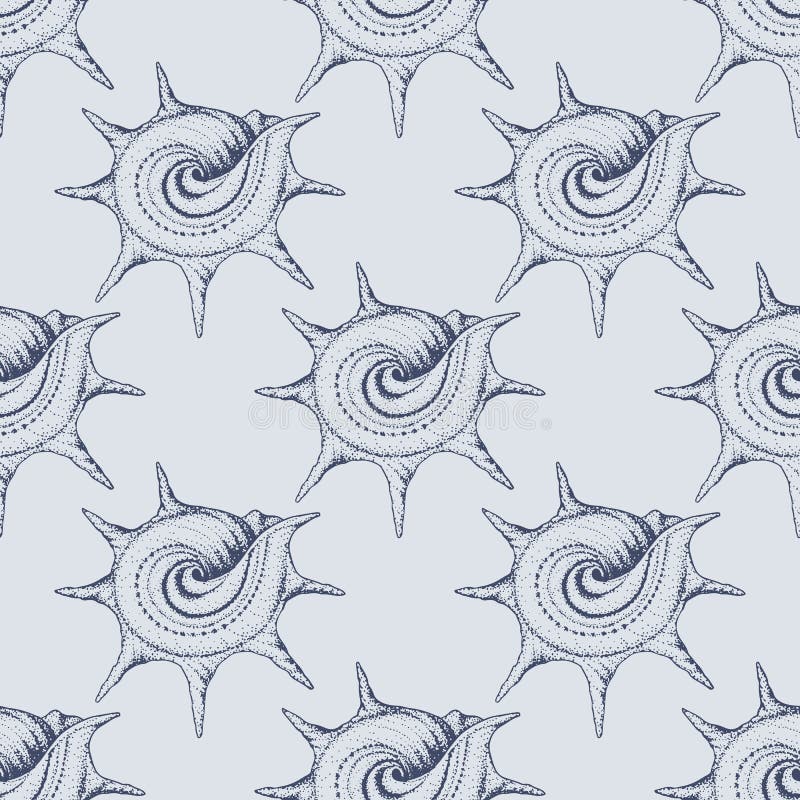 Hand Drawn Vintage Sea Shell Pattern Stock Vector - Illustration of ...