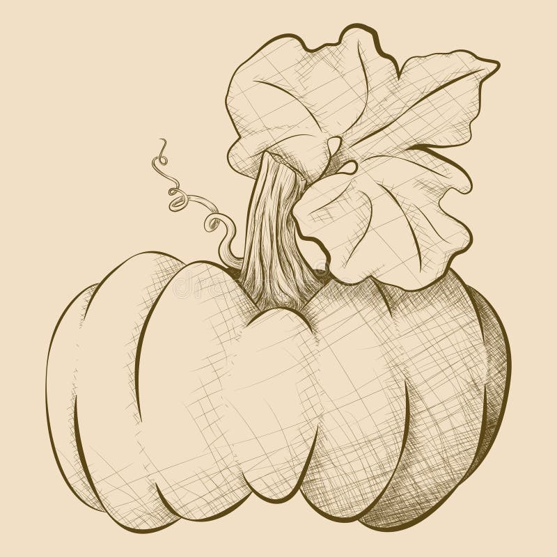 Hand-Drawn Vintage Style Lumpy Pumpkin Stock Vector - Illustration of ...