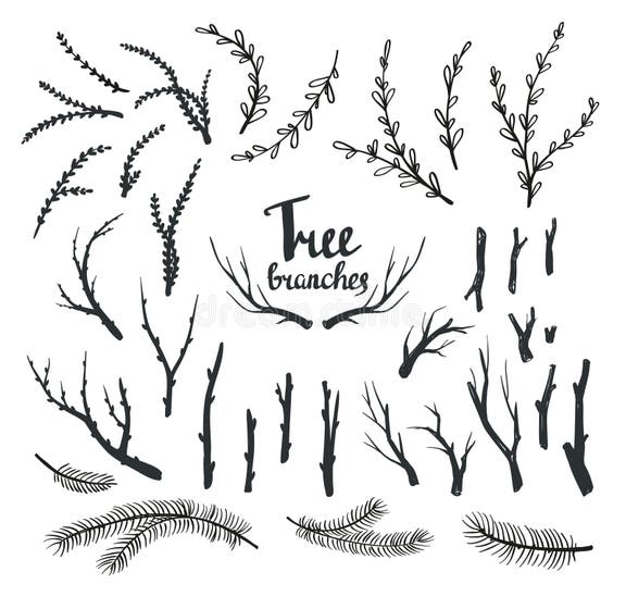 Hand Drawn Vintage Tree Branches . Stock Vector - Illustration of hand ...