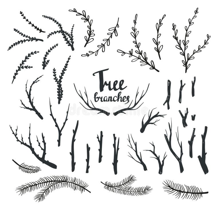 Hand Drawn Vintage Tree Branches . Stock Vector - Illustration of hand ...