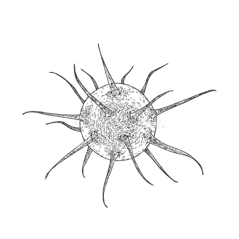 Hand Drawn Virus Vector Illustration. Bacteria Doodle Sketch Stock ...