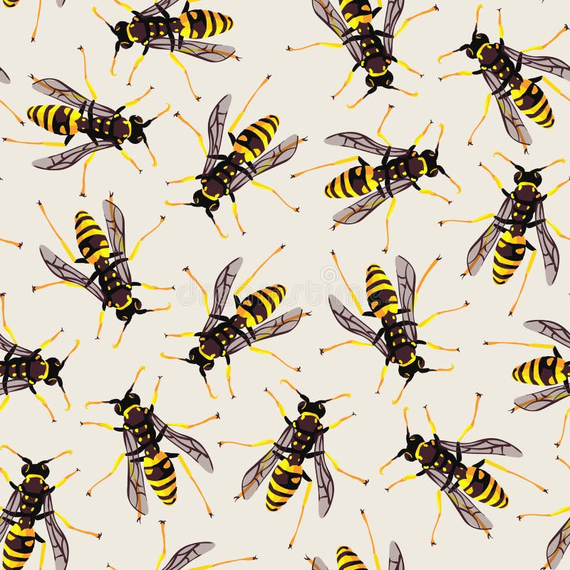 Hand Drawn Wasp Seamless Pattern Stock Illustration - Illustration of ...