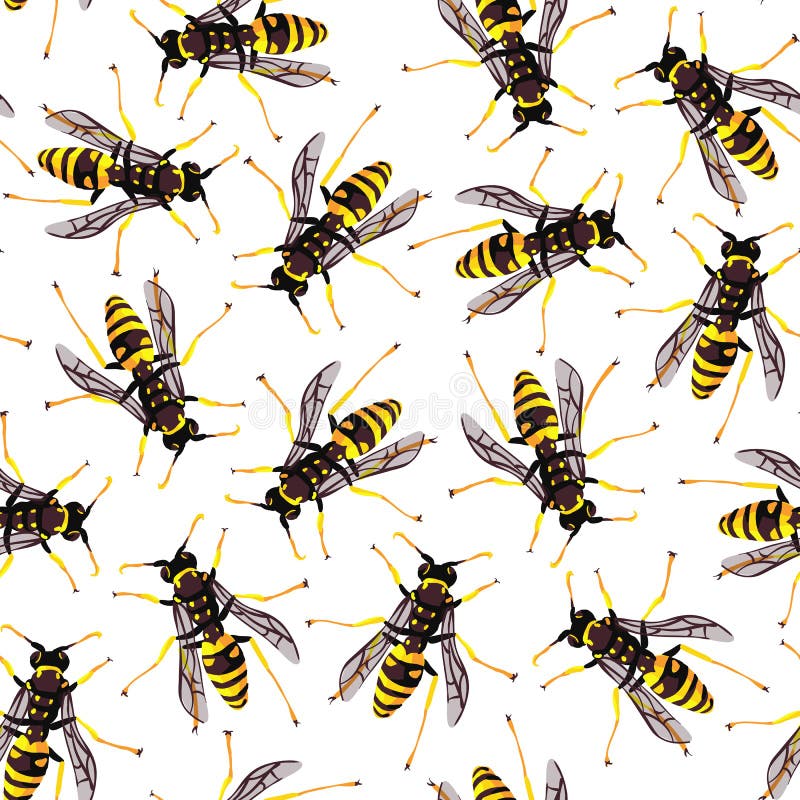 Hand Drawn Wasp Seamless Pattern Stock Illustration - Illustration of ...