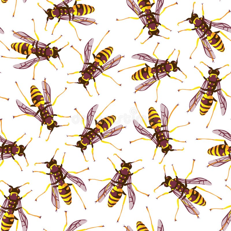 Hand Drawn Wasp Seamless Pattern Stock Illustration - Illustration of ...