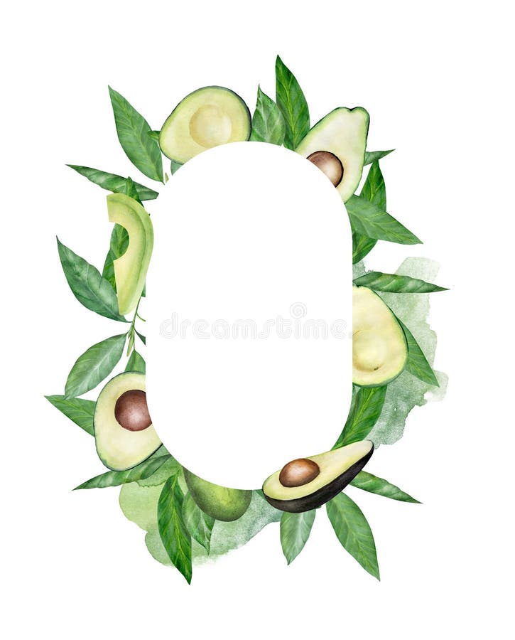 Hand Drawn Watercolor Avocado Frame Stock Illustration - Illustration ...