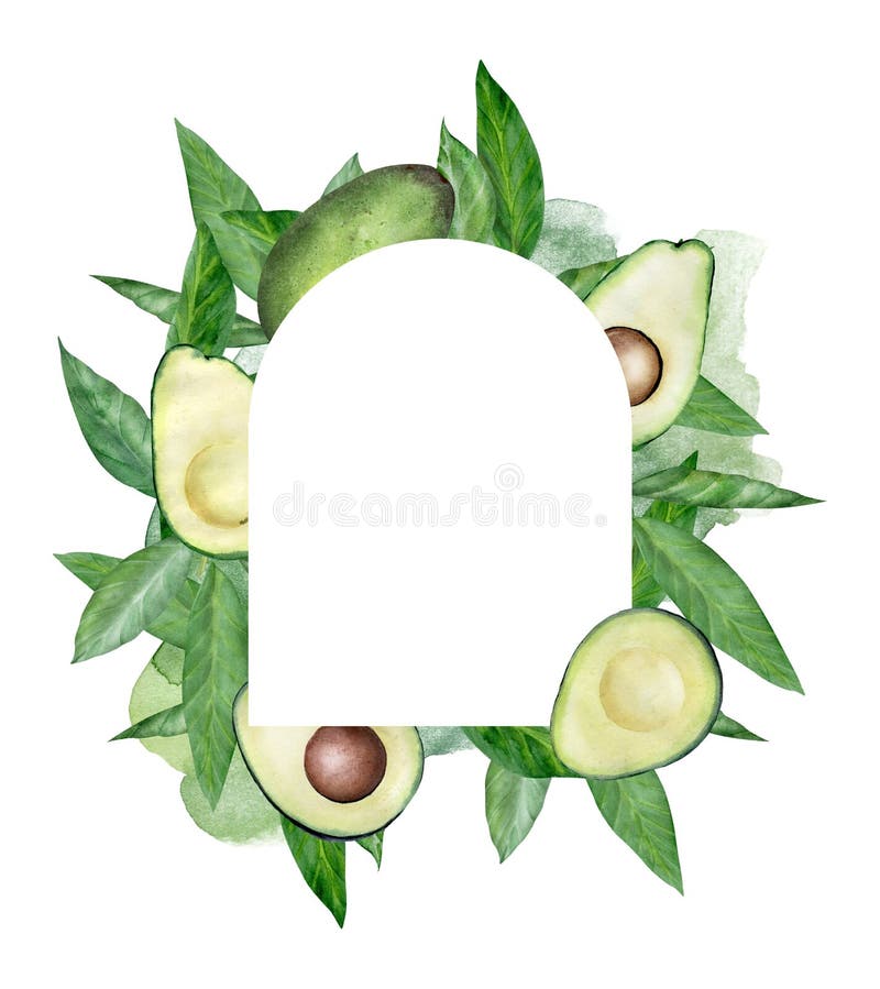 Hand Drawn Watercolor Avocado Frame Stock Illustration - Illustration ...