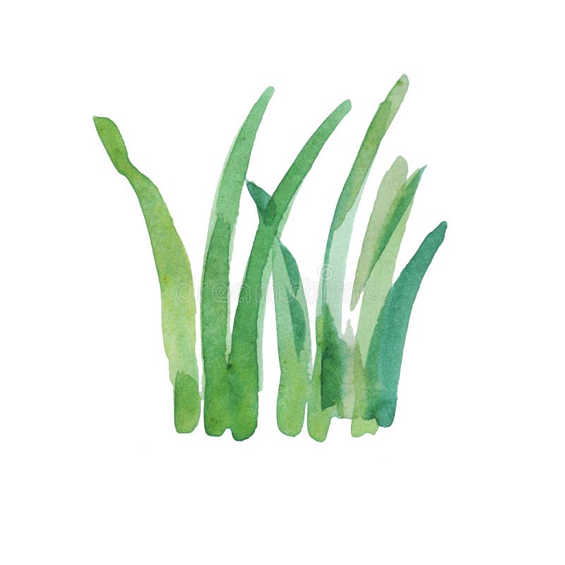 Watercolor Grass Stock Illustrations – 57,902 Watercolor Grass Stock ... Watercolor Grass Stock Illustrations – 57,902 Watercolor Grass Stock ...