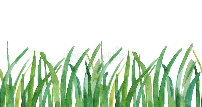 Watercolor Grass Stock Illustrations – 57,902 Watercolor Grass Stock ... Watercolor Grass Stock Illustrations – 57,902 Watercolor Grass Stock ...