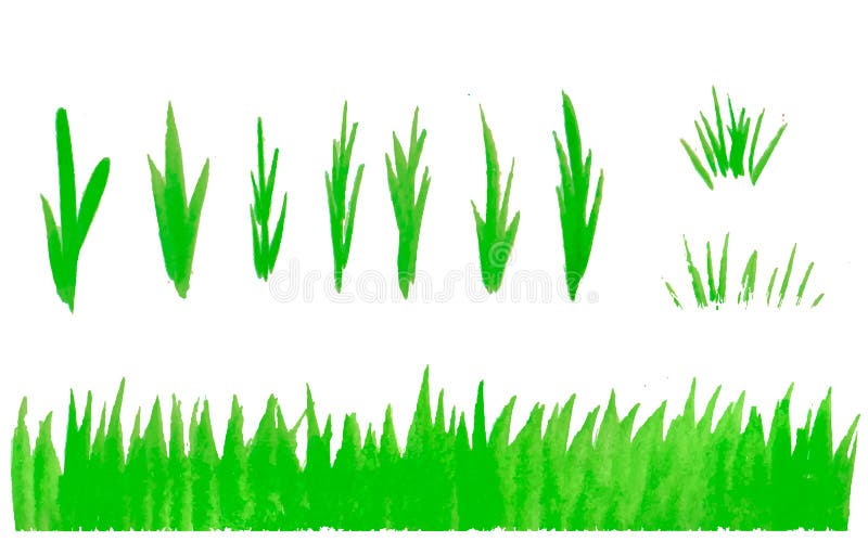 Hand Drawn Watercolor Grass Set Isolated on White Background. Sketch ...