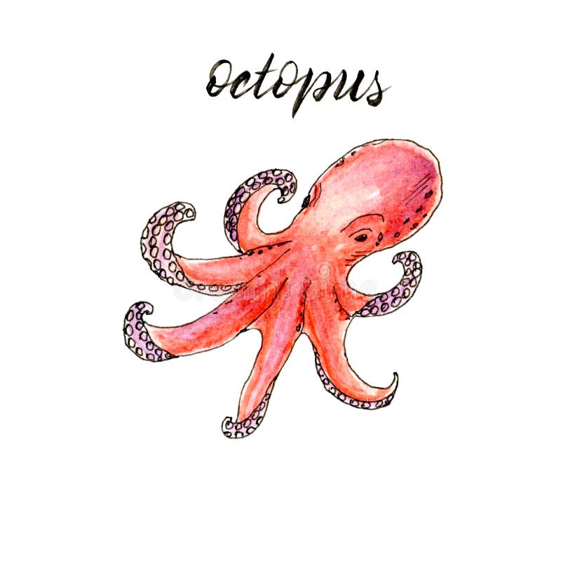 Isolated octopus man. stock vector. Illustration of character - 106970083