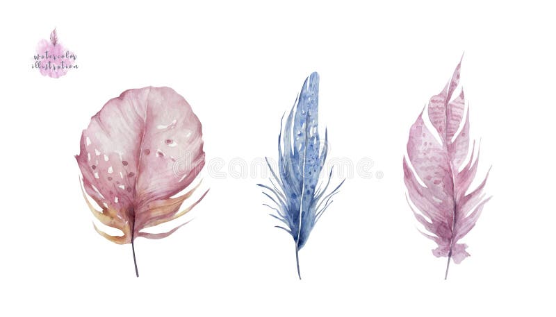 Hand Drawn Watercolor Pink Feather Illustration on White Background ...