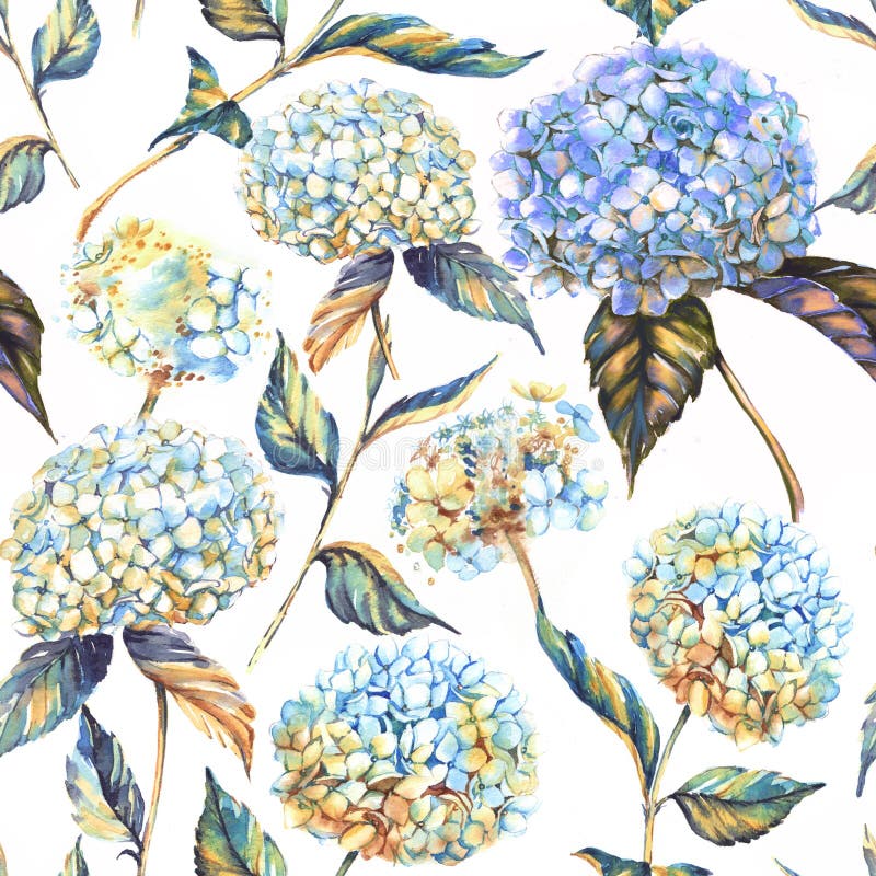 Hand-drawn Watercolor Seamless Pattern with White and Blue Hydrangea Flowers Stock Illustration ...