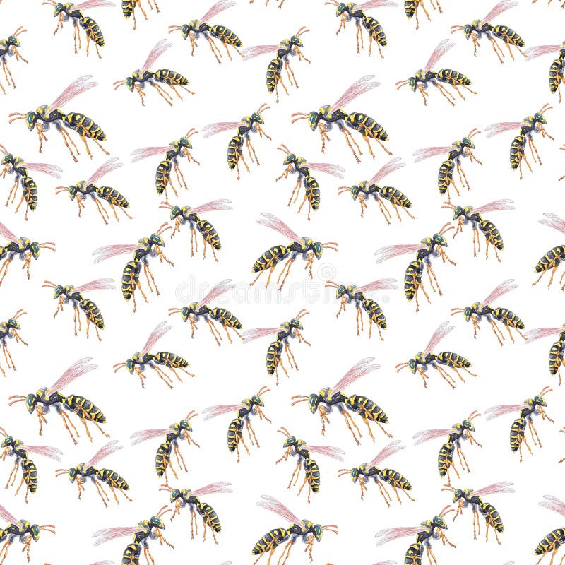 Hand Drawn Watercolor Pattern with Insect Wasp Stock Image - Image of ...