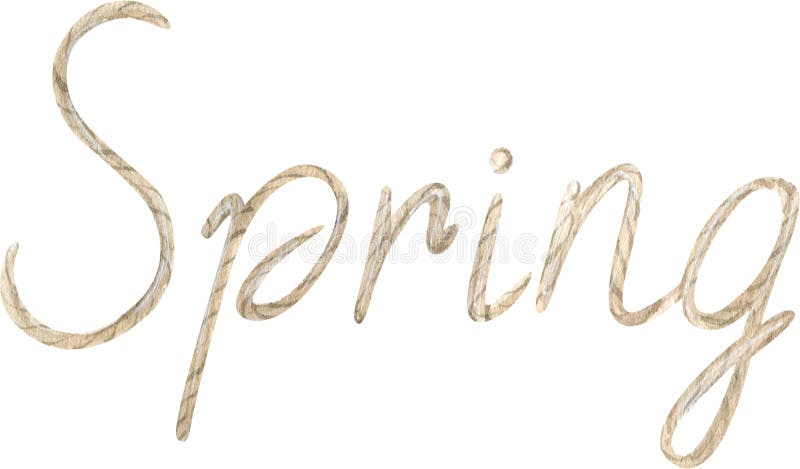 Hand Drawn Watercolor the Word Spring Written in Rope Stock ...