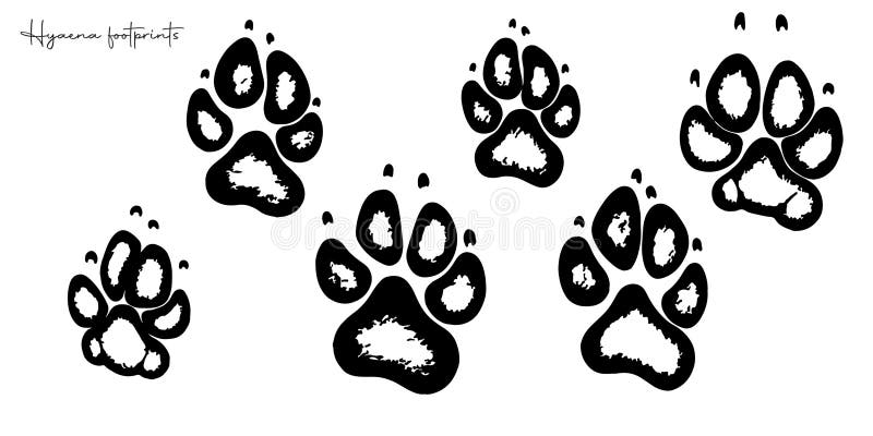 Hand Drawn Wild Animals Foot Prints Stock Illustration - Illustration ...