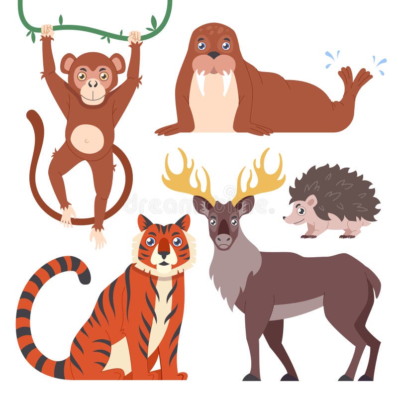 Hand Drawn Wild Animals Set Vector Illustration. Stock Vector ...