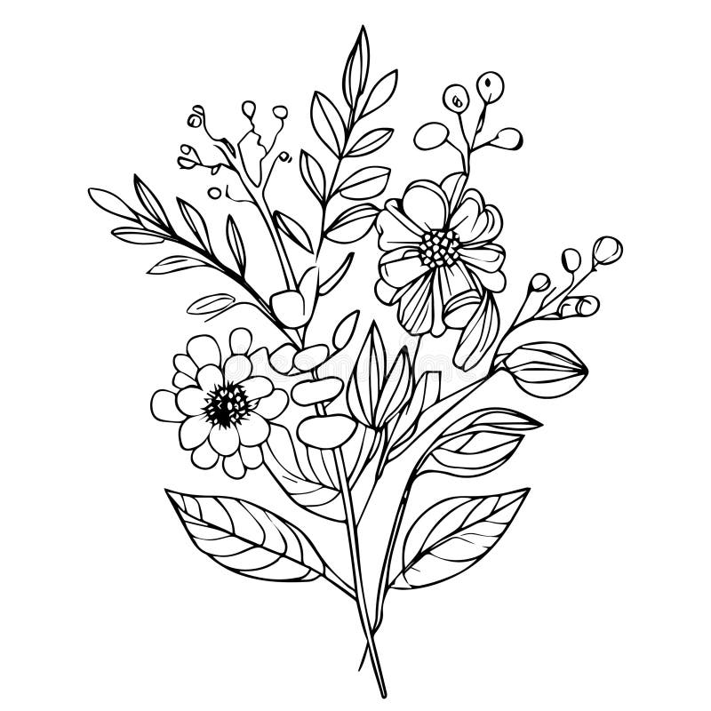 Hand-drawn Wildflower Botanical Spring Elements Line Art, Botanical ...