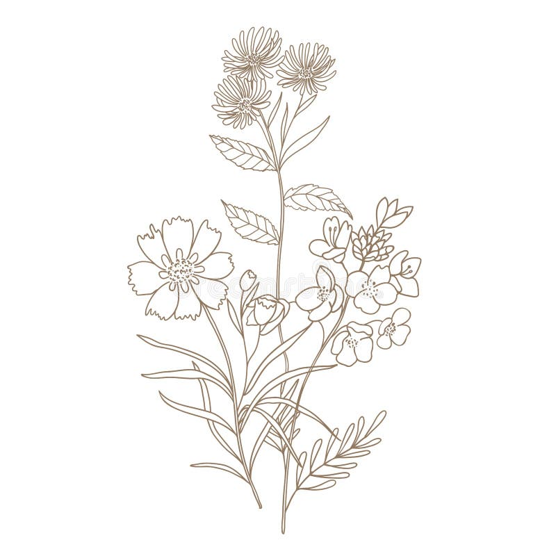 Hand Drawn Wildflower Bouquet. Stock Illustration - Illustration of ...