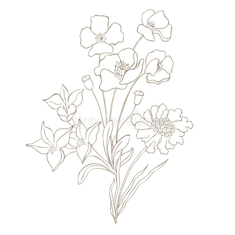 Hand Drawn Wildflower Bouquet. Stock Illustration - Illustration of ...