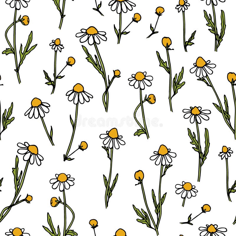 Hand Drawn Wildflower Pattern Stock Vector - Illustration of plant ...