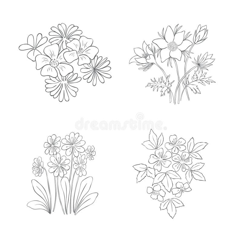 Hand Drawn Wildflowers Set. Stock Illustration - Illustration of branch ...