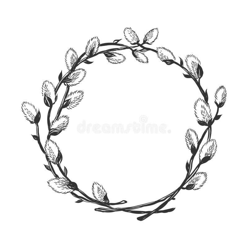 Hand Drawn Willow Branch Circle Frame. Stock Vector - Illustration of ...